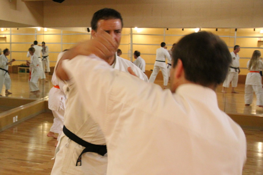 Karate Seminar: Naihanhci Kata and Applications | San Diego | Full ...