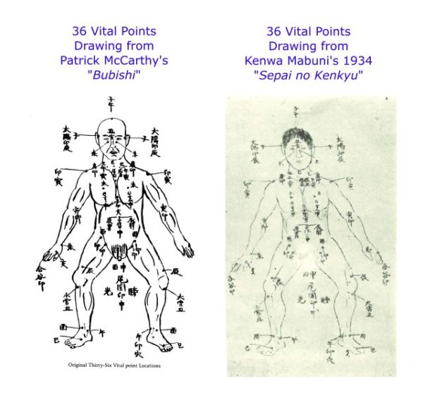 The Bubishi - book review | Full Potential Martial Arts Academy